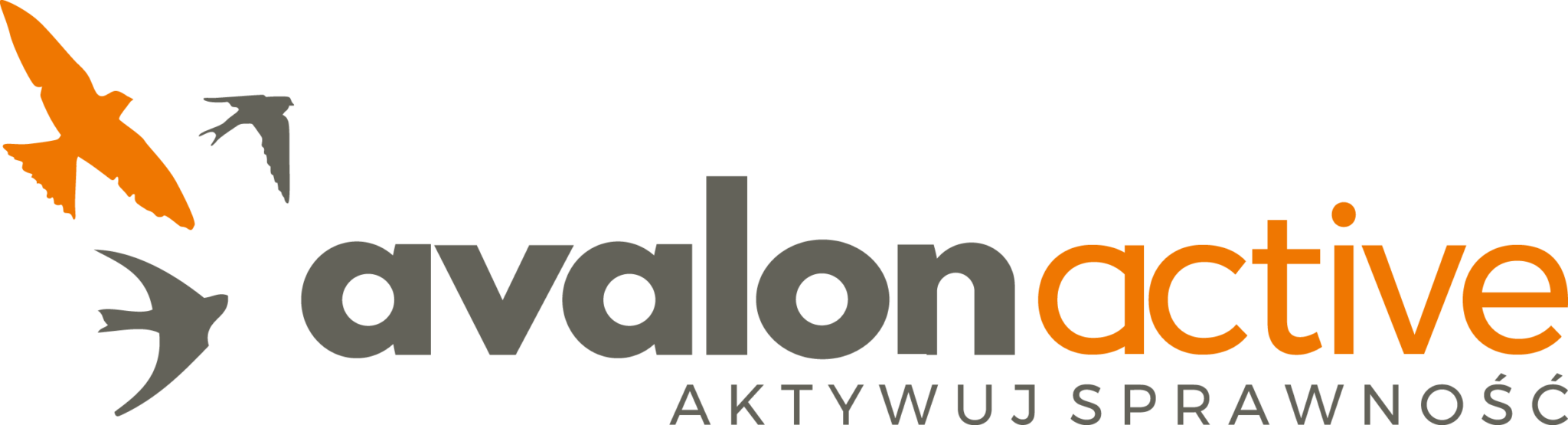 Nowe logo Avalon Active | Fundacja Avalon